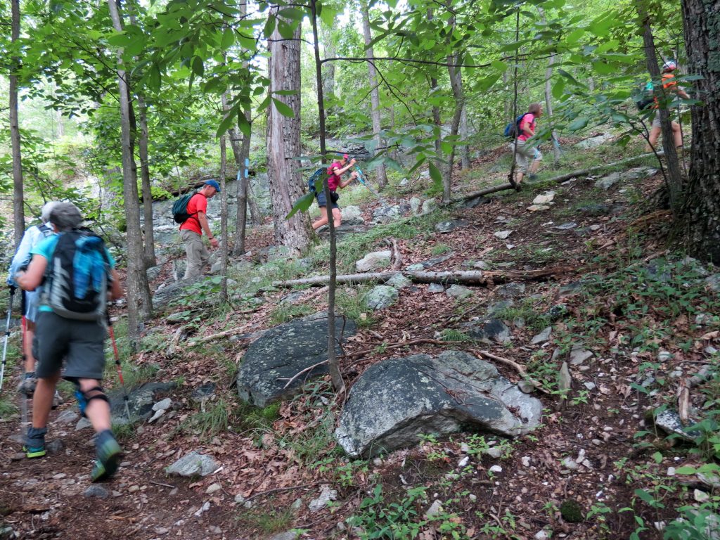 Hike Report: Devil’s Racecourse To Cowall Shelter – 10-H – Mountain ...